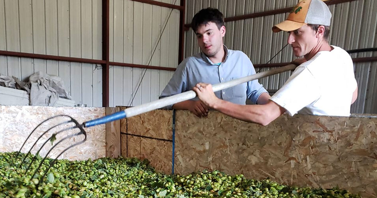 5 Questions With Crooked Yard Hops Founder Jake TeSelle – PorchDrinking.com