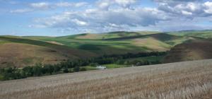 Mainstem Malt Commits Itself to Equity From the Ground Up Through ...